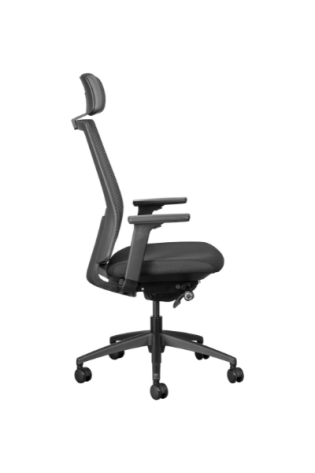 Ergonomic / Netting Chairs | Esaaks
